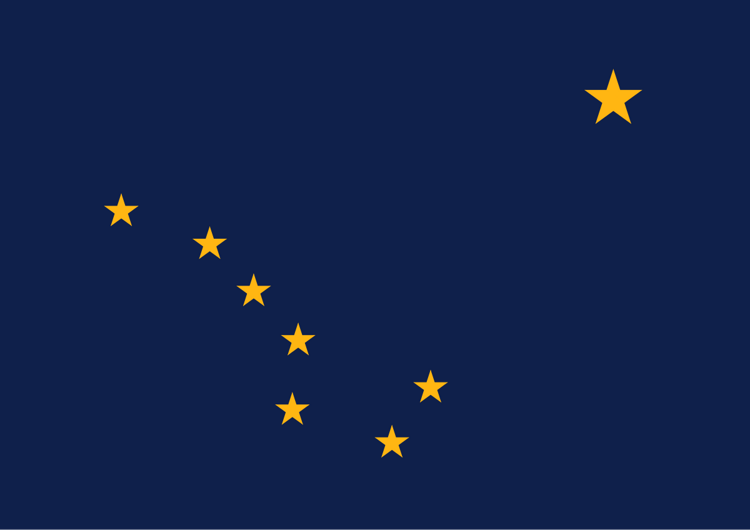 State Flags Explained
