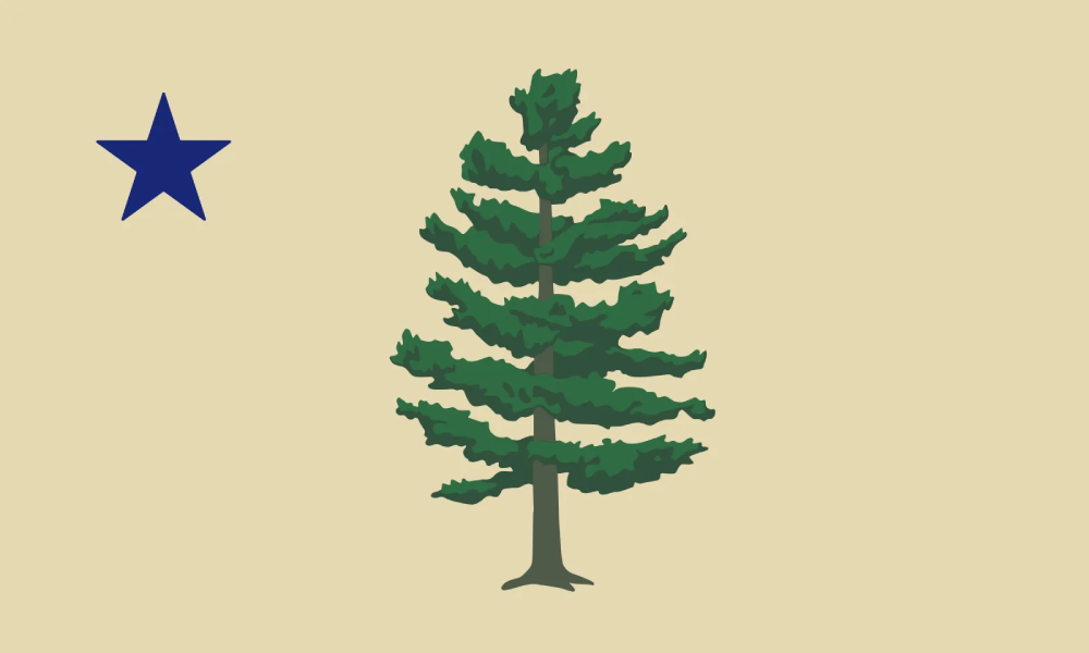 Vermont State Flag: Meaning, Colors, and History | State Flags Explained