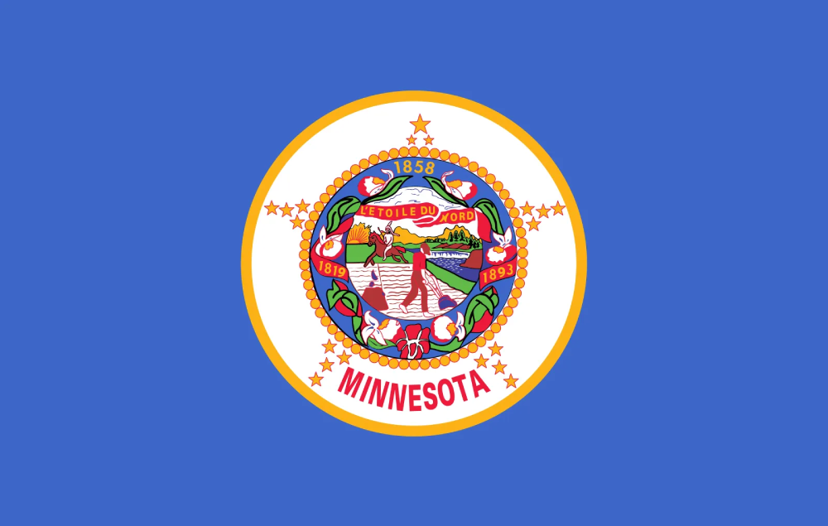 Minnesota State Flag: New Design, North Star, and History | State Flags ...