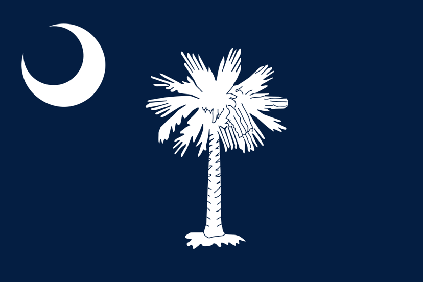 South Carolina State Flag: Palmetto, Crescent, and History | State ...